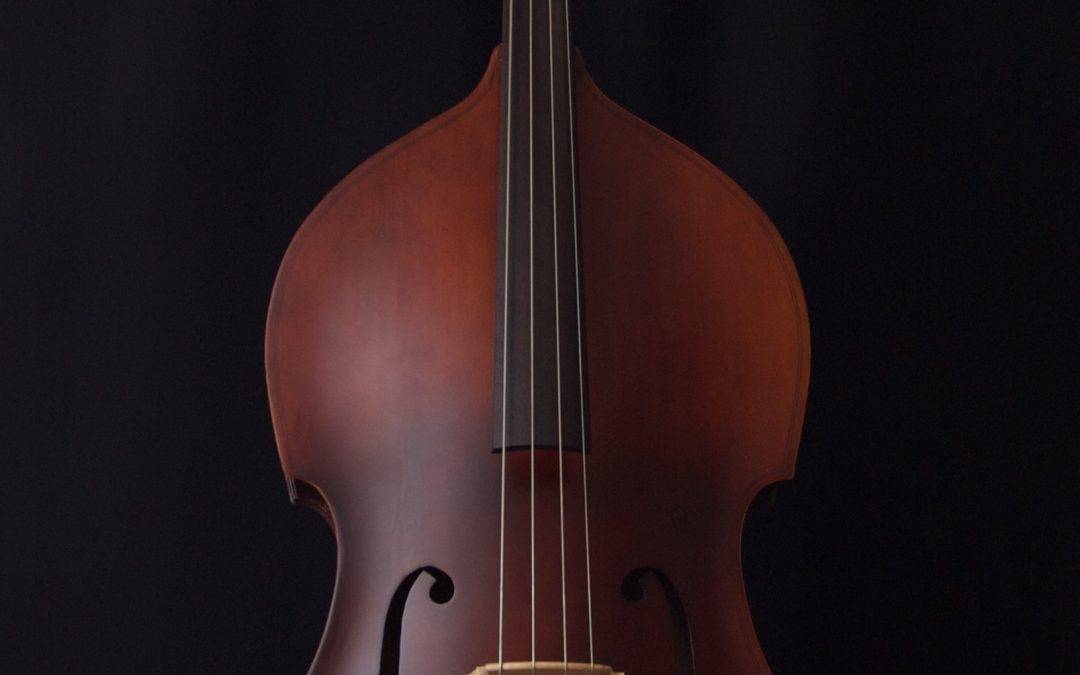 Huidig Aanbod Contrabassen - Rikkers Gitaarbouw